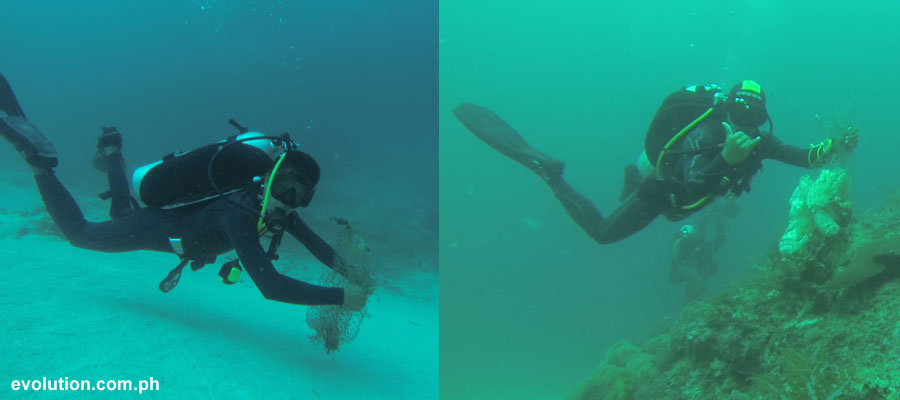 evolution diving malapascua - Evolution Diving Resort Malapascua