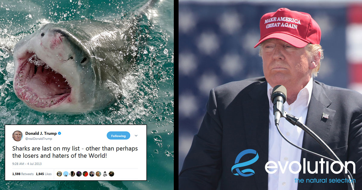 attention-president-trump-evolution-diving-resort - Evolution Diving ...